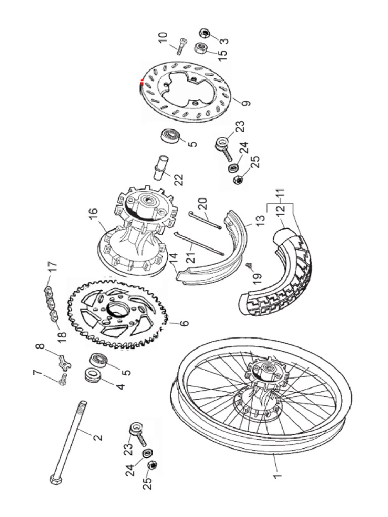 Ruota Posteriore PDF