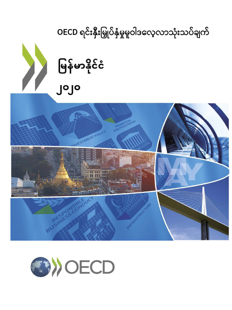 Oecd Ipr of Myanmar 2020 Myanmar Version-1.Pdffinal-1 | PDF