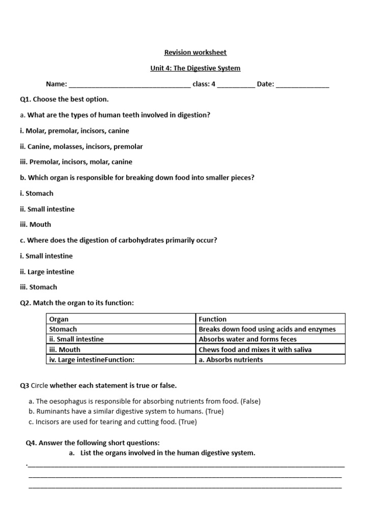 Revision worksheet unit - the digestive system.docx | PDF | Digestion ...