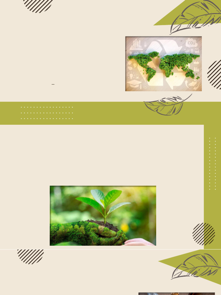 Ppt Pia y Almendra | PDF | Reciclaje | Residuos