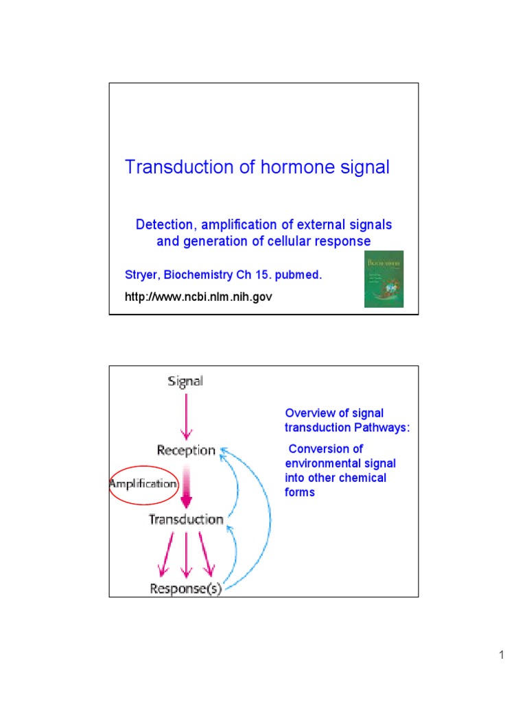 Transduction of Hormone Signal: Detection, Amplification of External ...