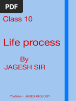 Life Processes Class 10th | PDF