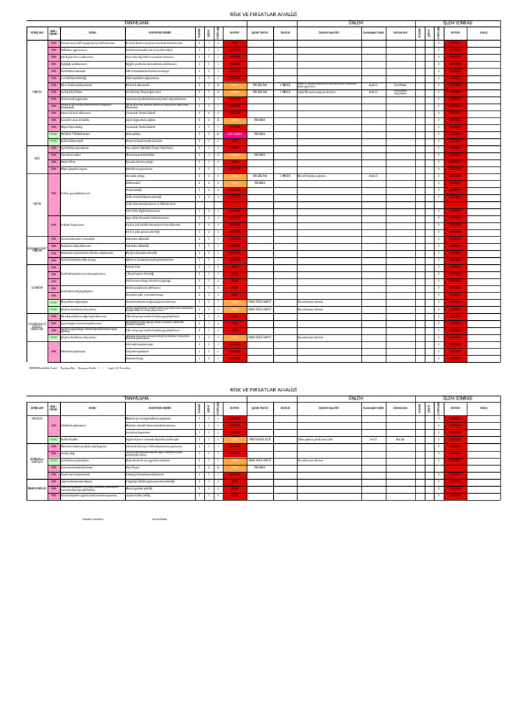 F.01 Ri̇sk Ve Firsat Beli̇rleme Tablosu Formu | PDF