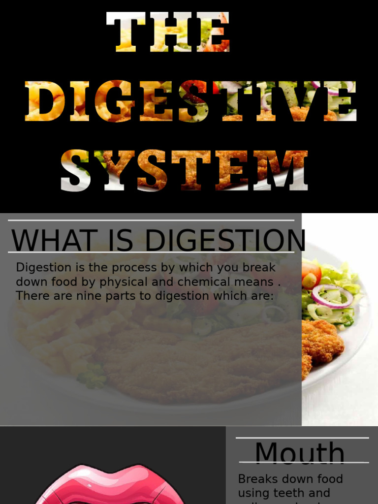 The Murtaza System (Real) | PDF