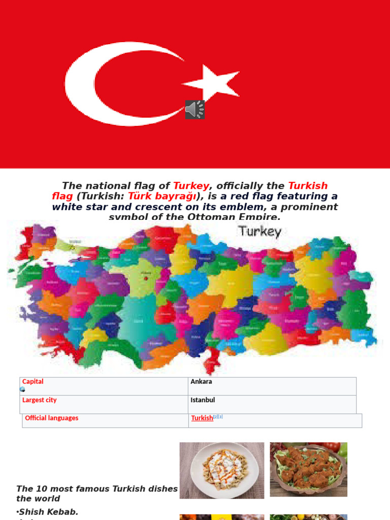 Sunum Pdf