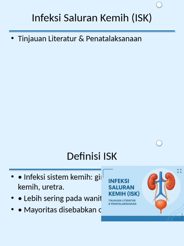 ISK Presentation Final Anatomi | PDF