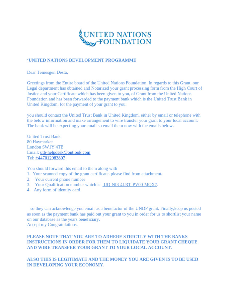 UNDP Grant Payment Instructions | PDF