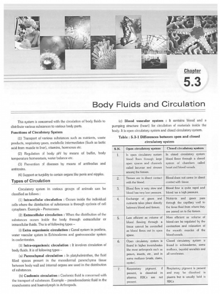 Body Fluids and Machanism | PDF