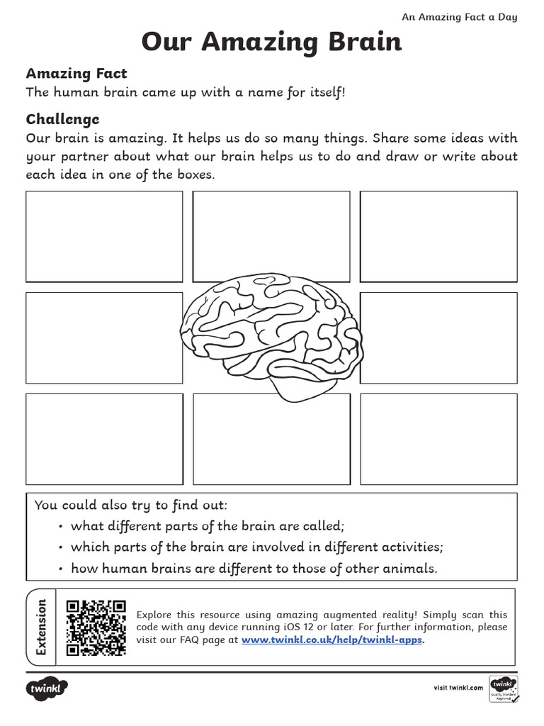 T T 2548198 Our Amazing Brain Activity Sheet Ver 5 | PDF