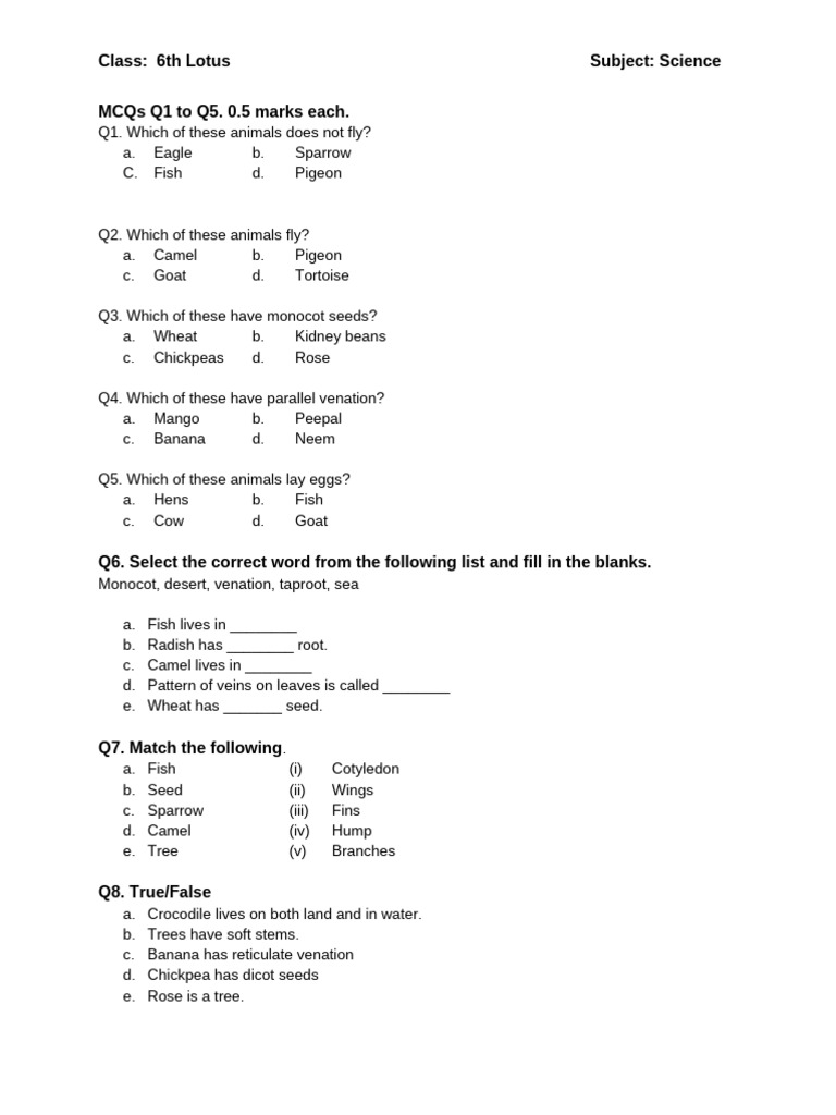 6th Grade Science MCQs and Questions | PDF