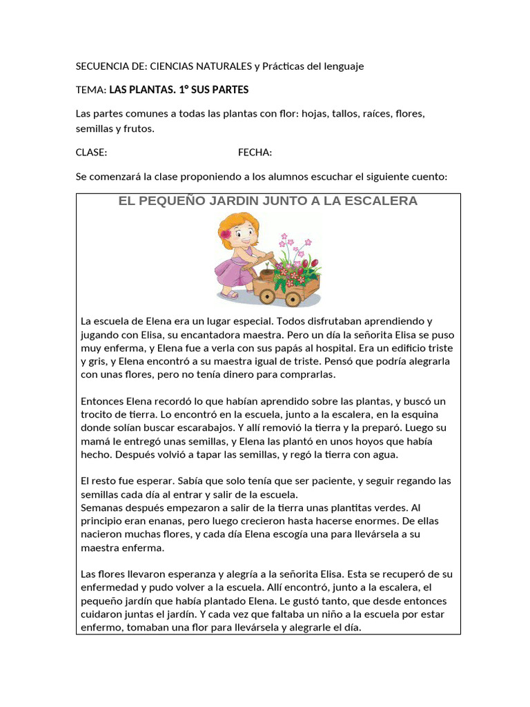Clase Las Plnatas MODIFICADO | PDF | Plantas | Arbusto