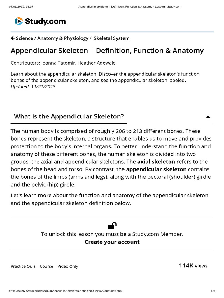 Appendicular Skeleton - Definition, Function & Anatomy - Lesson | PDF ...