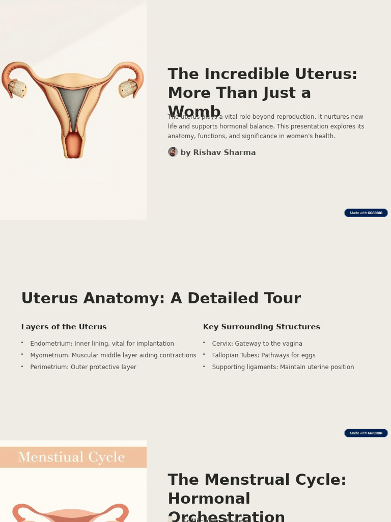 The Incredible Uterus More Than Just A Womb | PDF