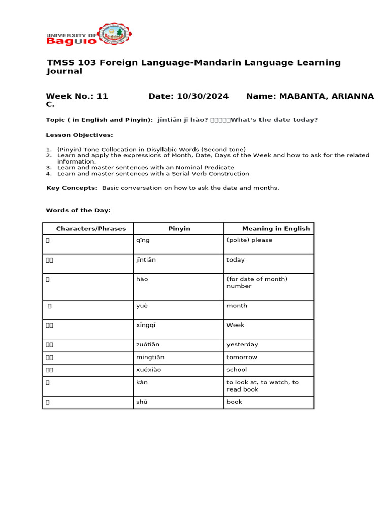 Language Learning Journal - MABANTA | PDF | English Language | Word