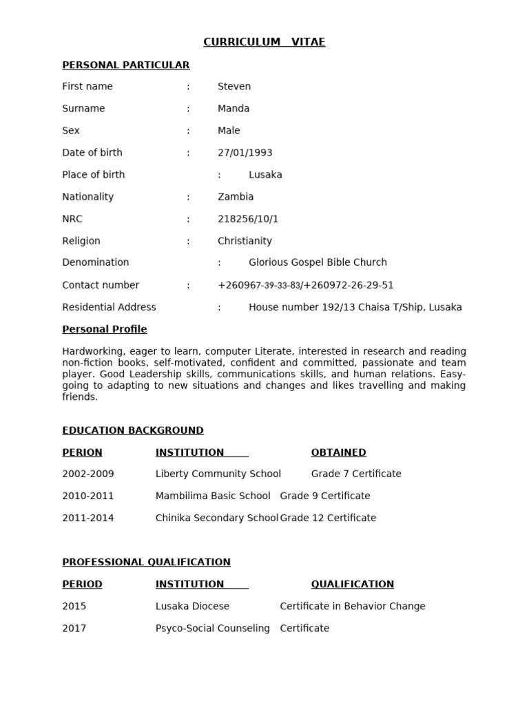 Curriculum Vitae Manda Steven | PDF