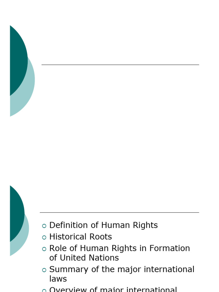 Introduction to International Human Rights | PDF | Human Rights ...