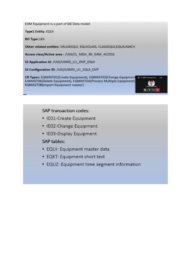 SAPMDG EAM | PDF