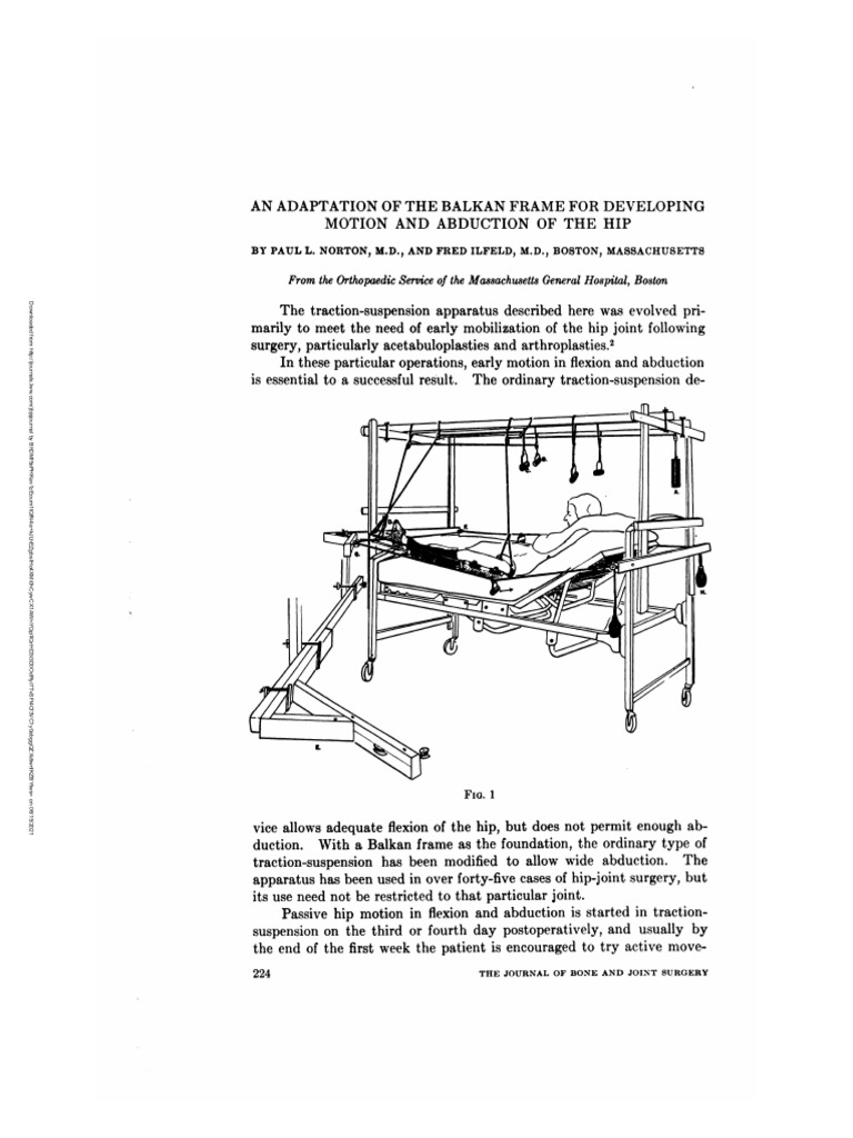 An Adaptation of The Balkan Frame For Developing.32 | PDF | Anatomical ...