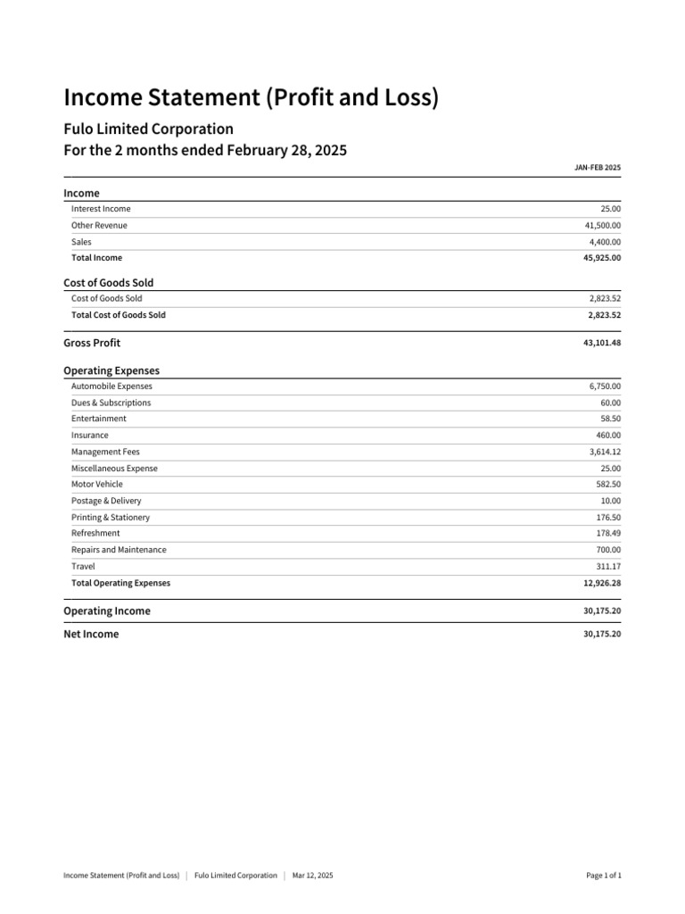 Fulo Limited Corporation - Income Statement Profit and Loss | PDF
