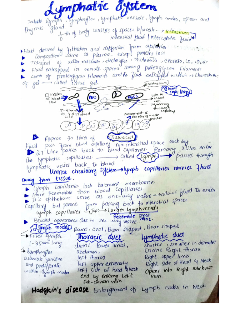 Human Lymphatic System Quick Revision | PDF