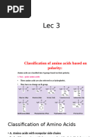 Amino Acids Classification Chart | PDF