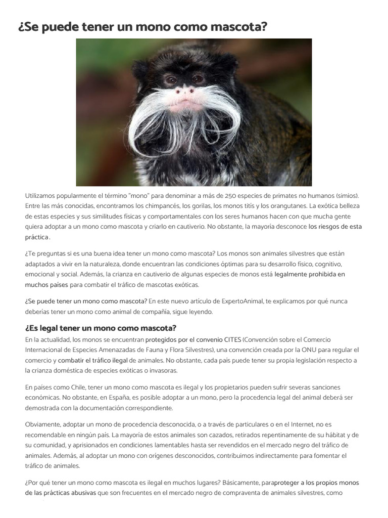 Tener un mono como mascota: ¿legal o no? | PDF | Mascota | Mono