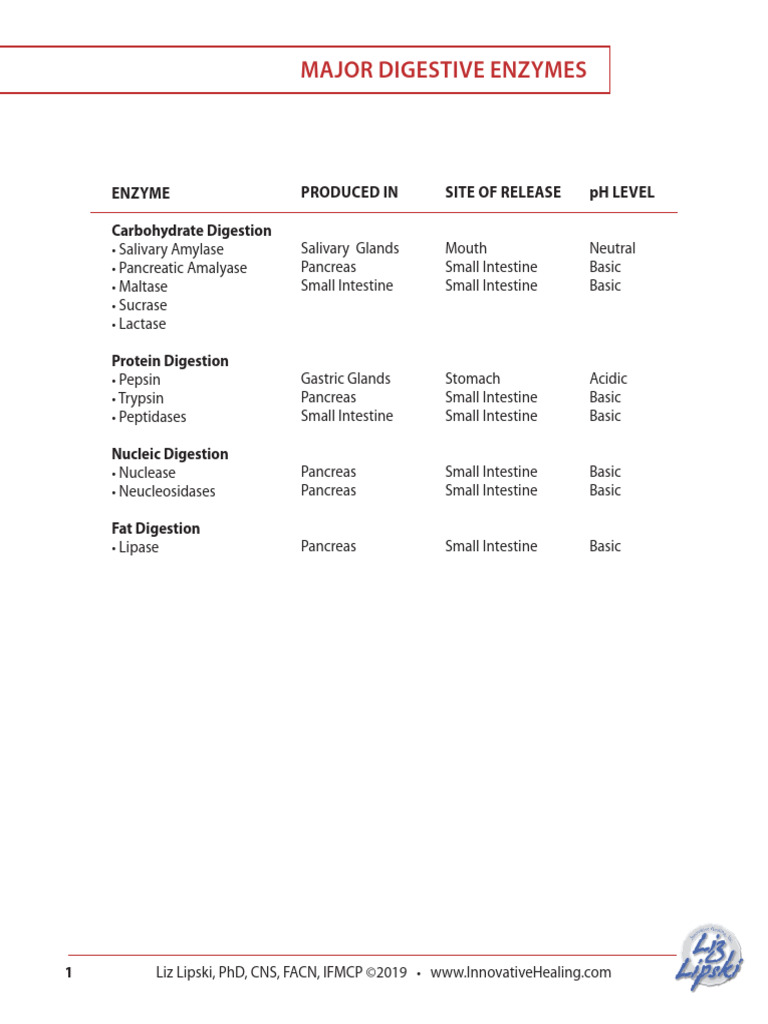 3 Major Digestive Enzymes | PDF