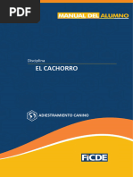 Morfología del perro: Graioides y Occipucio | PDF | Diente | Pastor alemán
