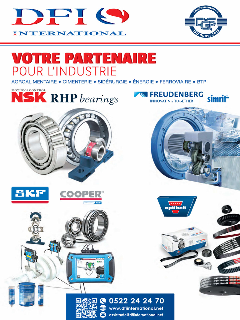 Depliant Dfi International | PDF