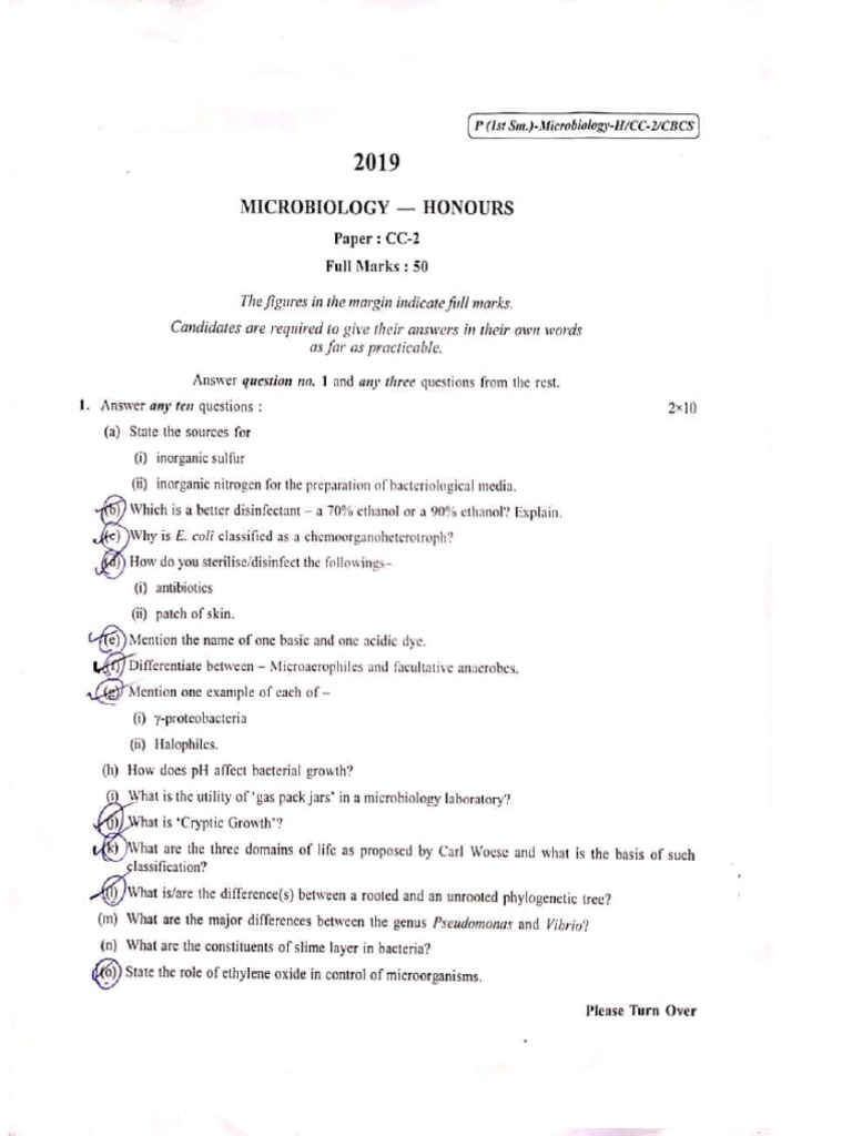 Bacteriology 2019 | PDF