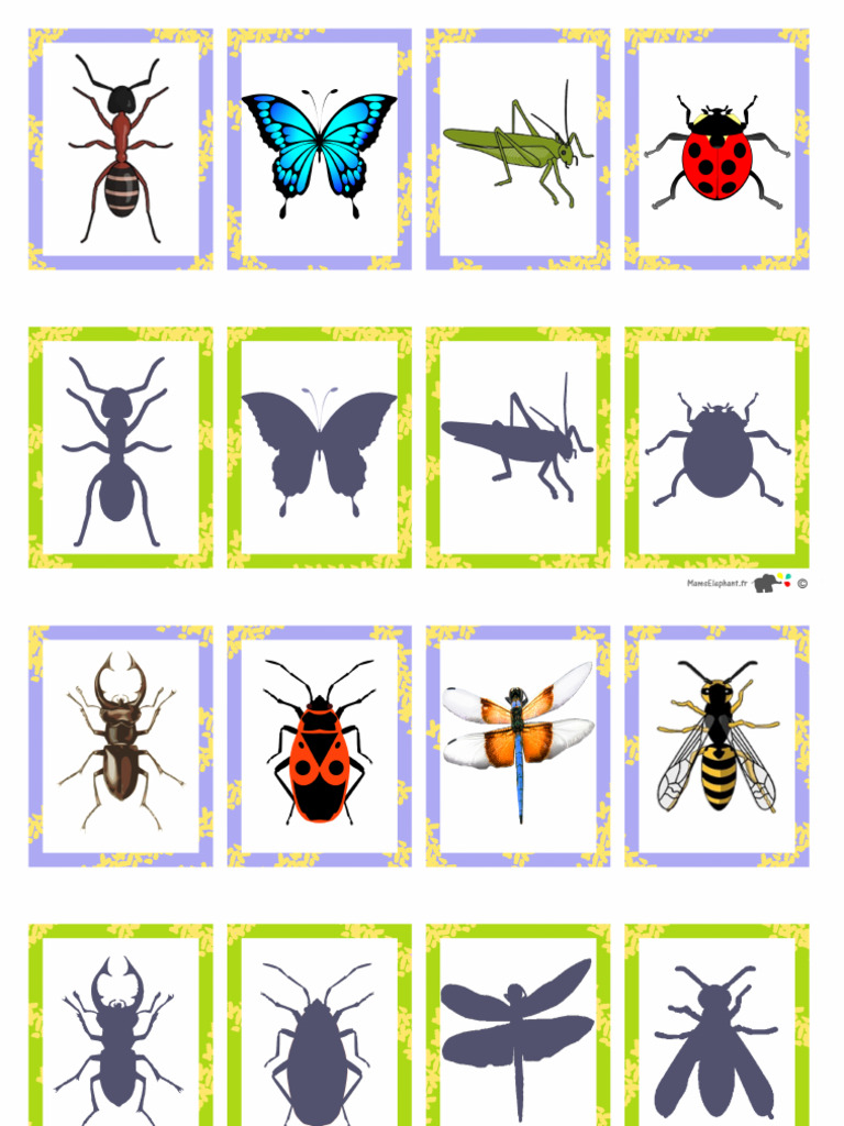 Pack D'activitã©s Insectes 3 | PDF