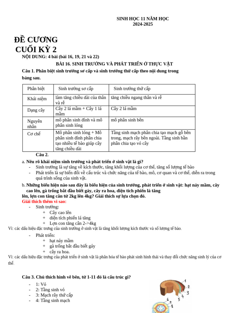 11 LÝ ĐỀ CƯƠNG SINH 11 CK2 | PDF