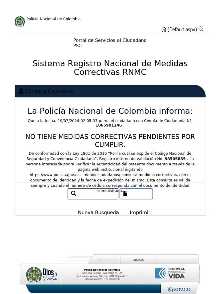 Consulta Rnmc Pdf