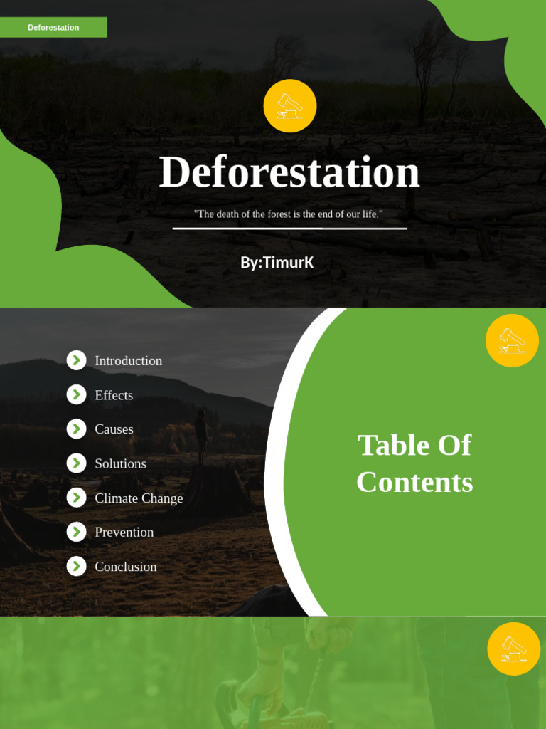 Slide Egg 500097 Deforestation | PDF | Deforestation | Forests
