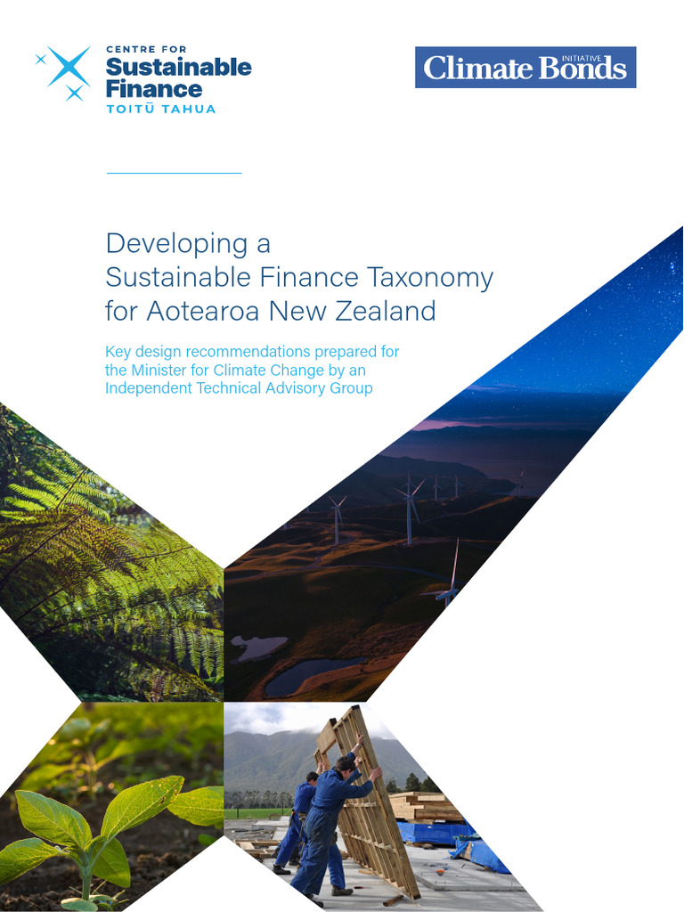 CSF Cbi Taxonomy Full Recommendations Report Final | PDF | Climate ...