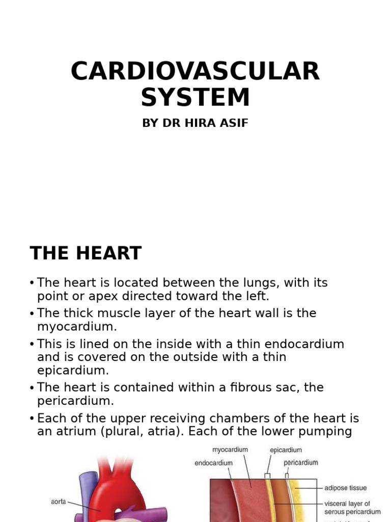Understanding the Cardiovascular System | PDF | Heart Valve | Heart