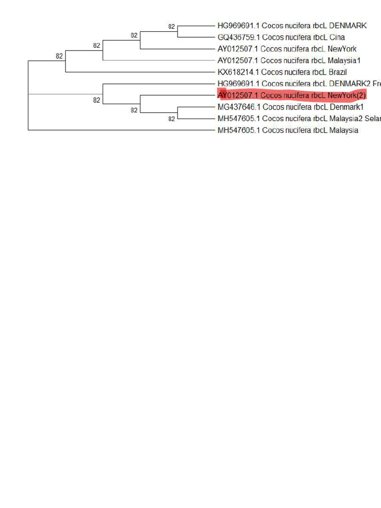 Boostrap Filogenik1 | PDF