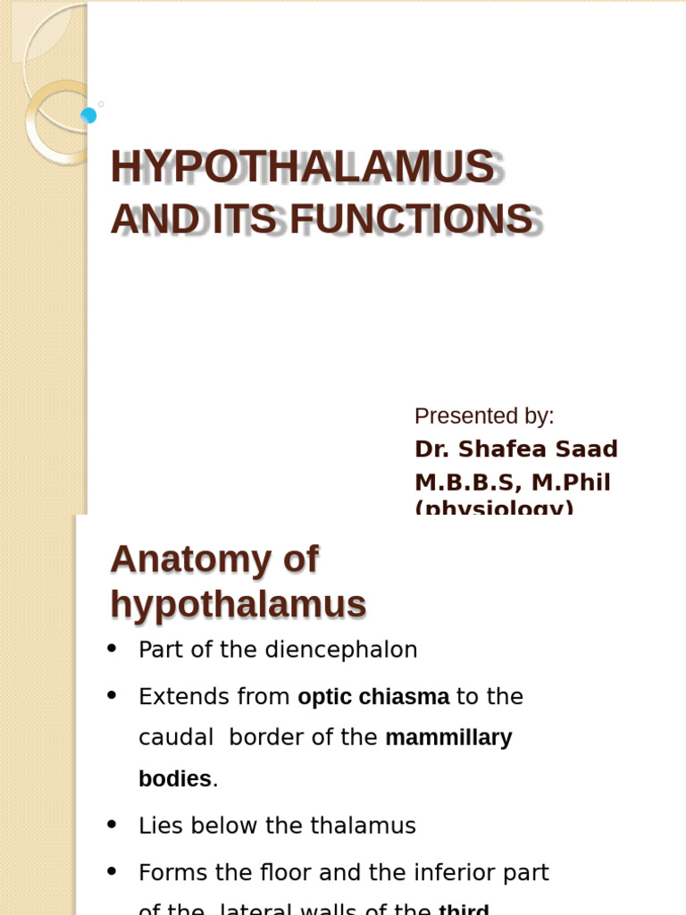 Hypothalamus and Its Functions | PDF | Hypothalamus | Organ (Anatomy)