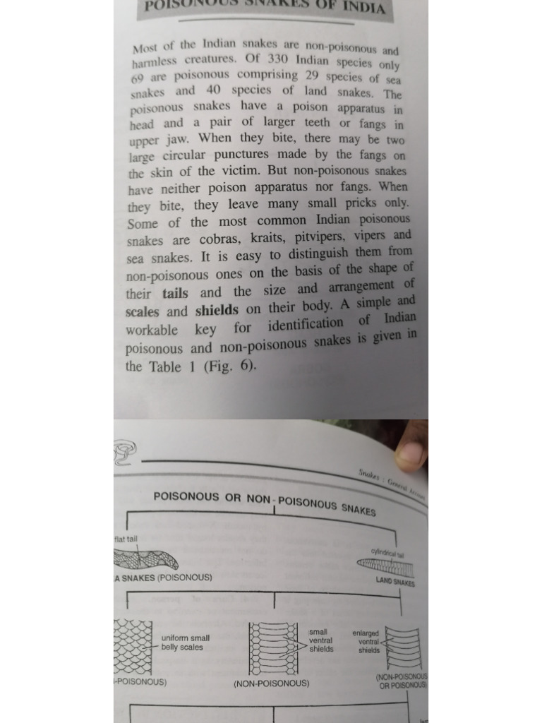 Practical Writeup - Poisonous and Nonpoisonous Snakes | PDF