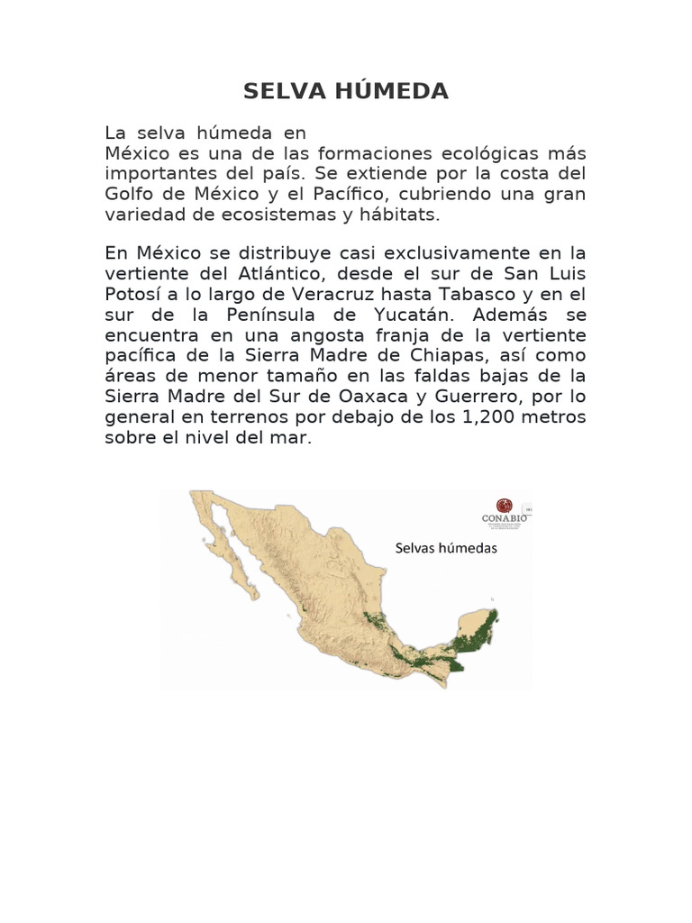 Selva Húmeda | PDF