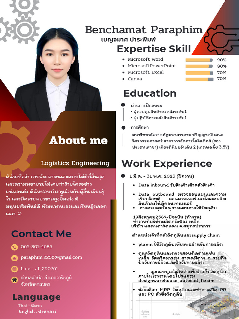 Professional CV Resume PDF | PDF