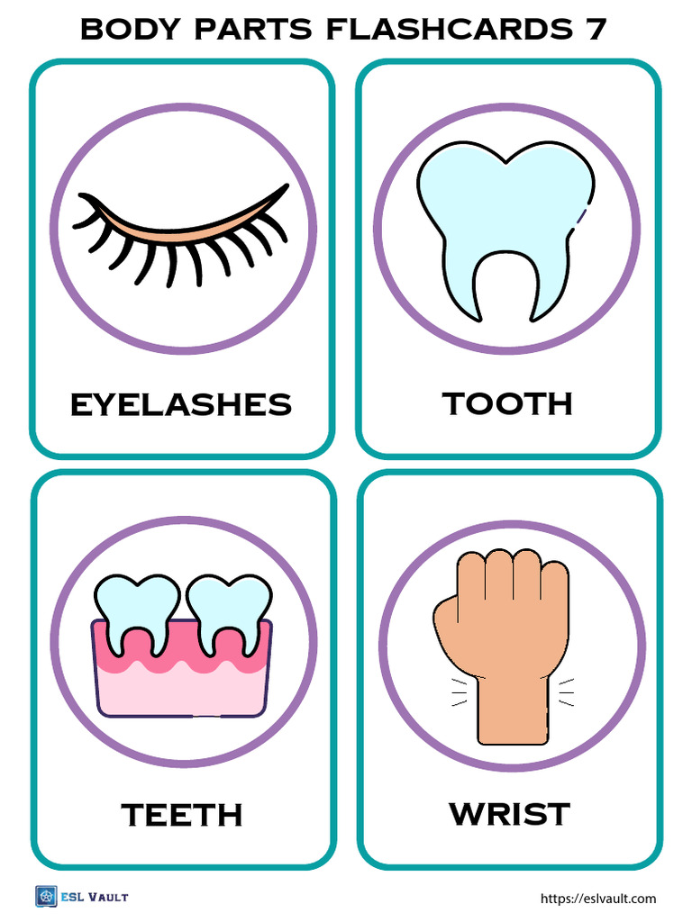 Body Parts Flashcards Free 7 | PDF