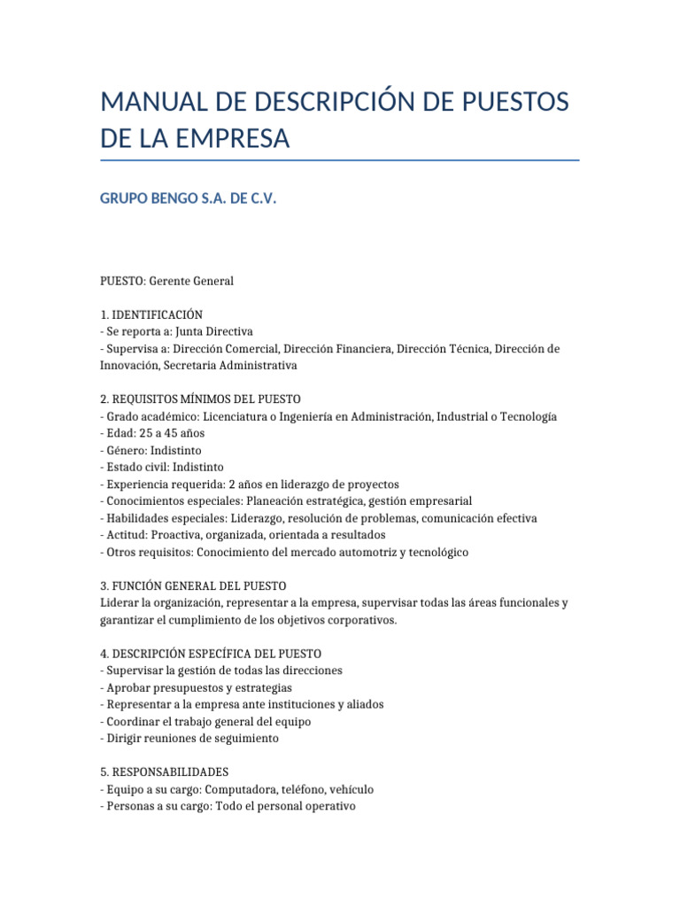 Descriptores Puestos BENGO | PDF