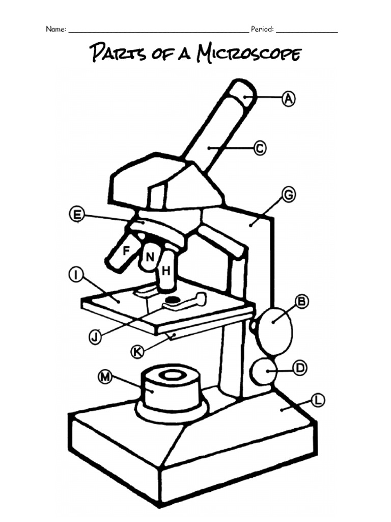 Parts of A Microscope (Print Out) | PDF | Lenses | Optical Devices
