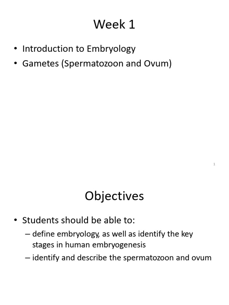 1 - Outline of Embryonic Weeks | PDF | Embryo | Reproduction