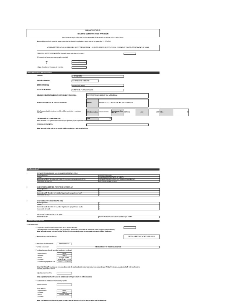 Formato 7a | PDF | Asociación público-privada | Tasa interna de retorno