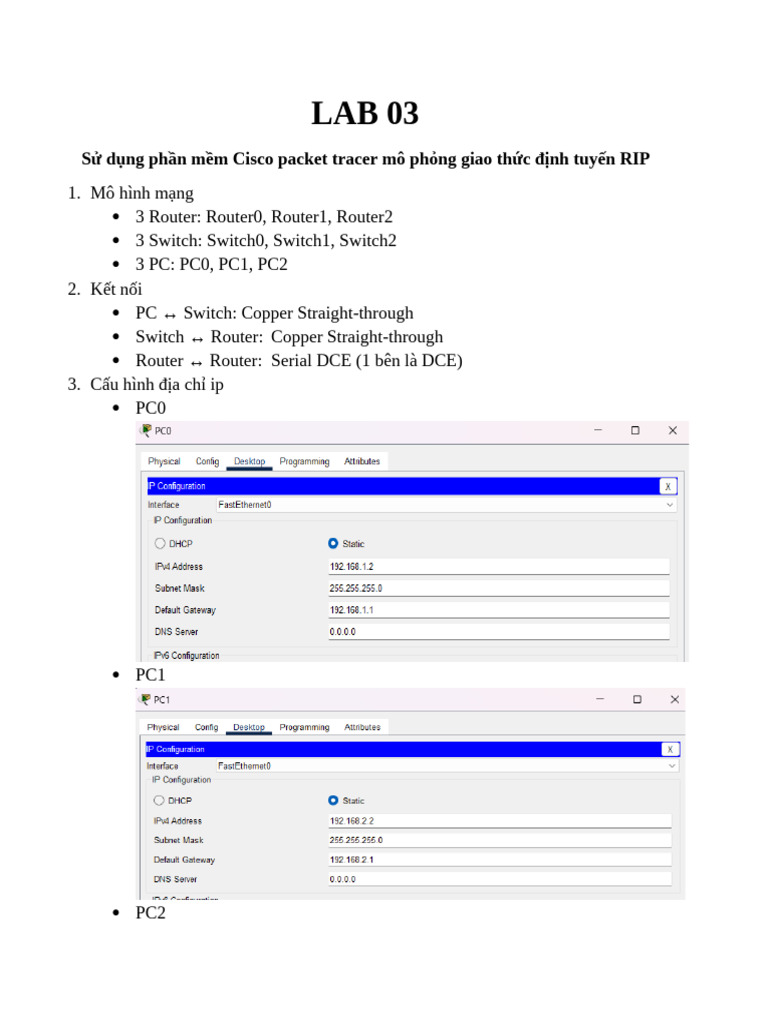 MÔ HÌNH MÔ PHỎNG RIP | PDF