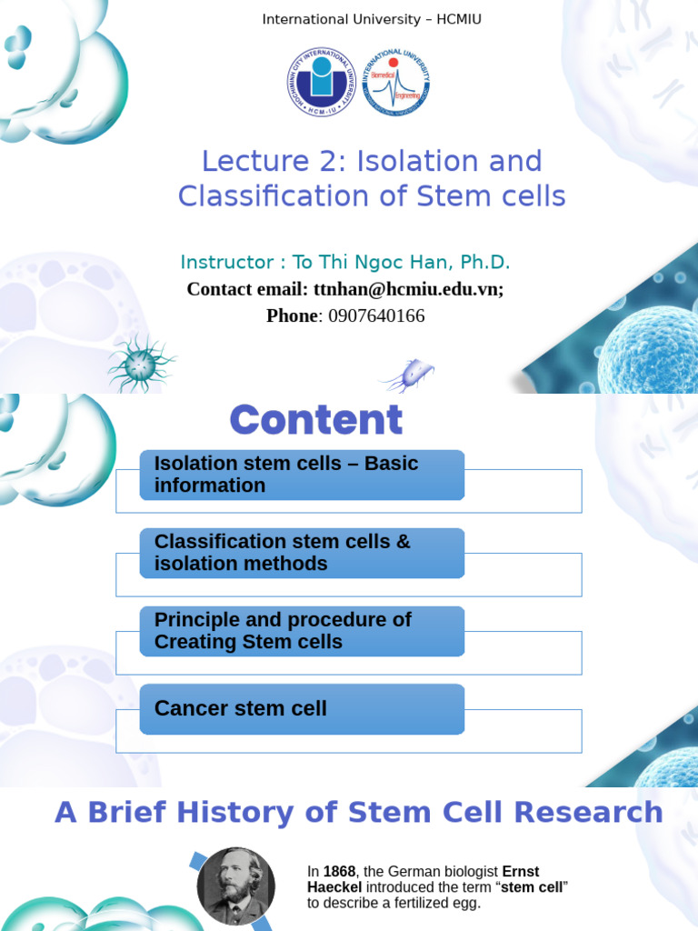 Stem Cell Isolation and Classification | PDF | Stem Cell | Cell Potency