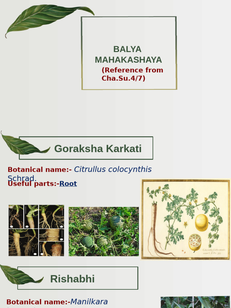 Balya Mahakashaya: Medicinal Plants List | PDF