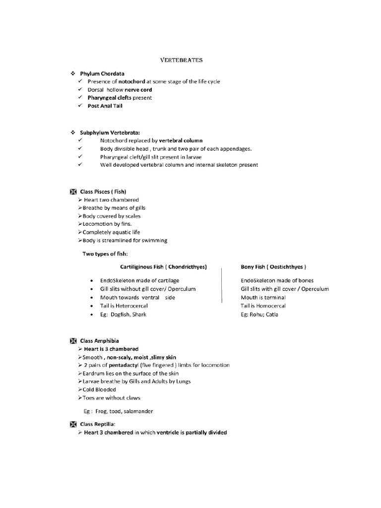Vertebrate Classification | PDF